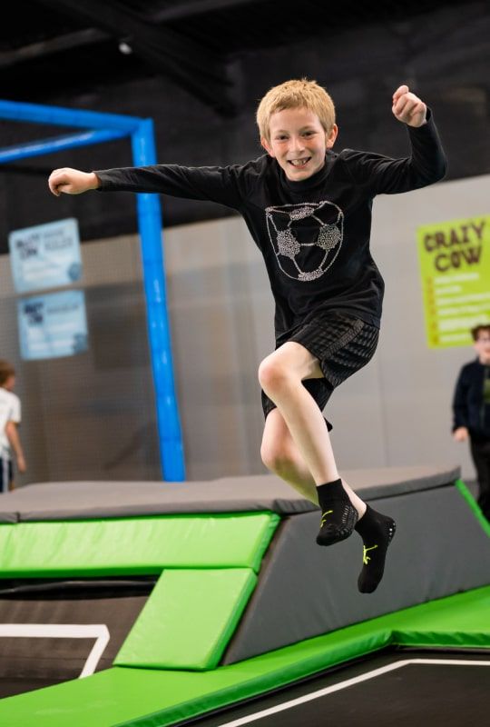 Moody Meadows | Crazy Cow