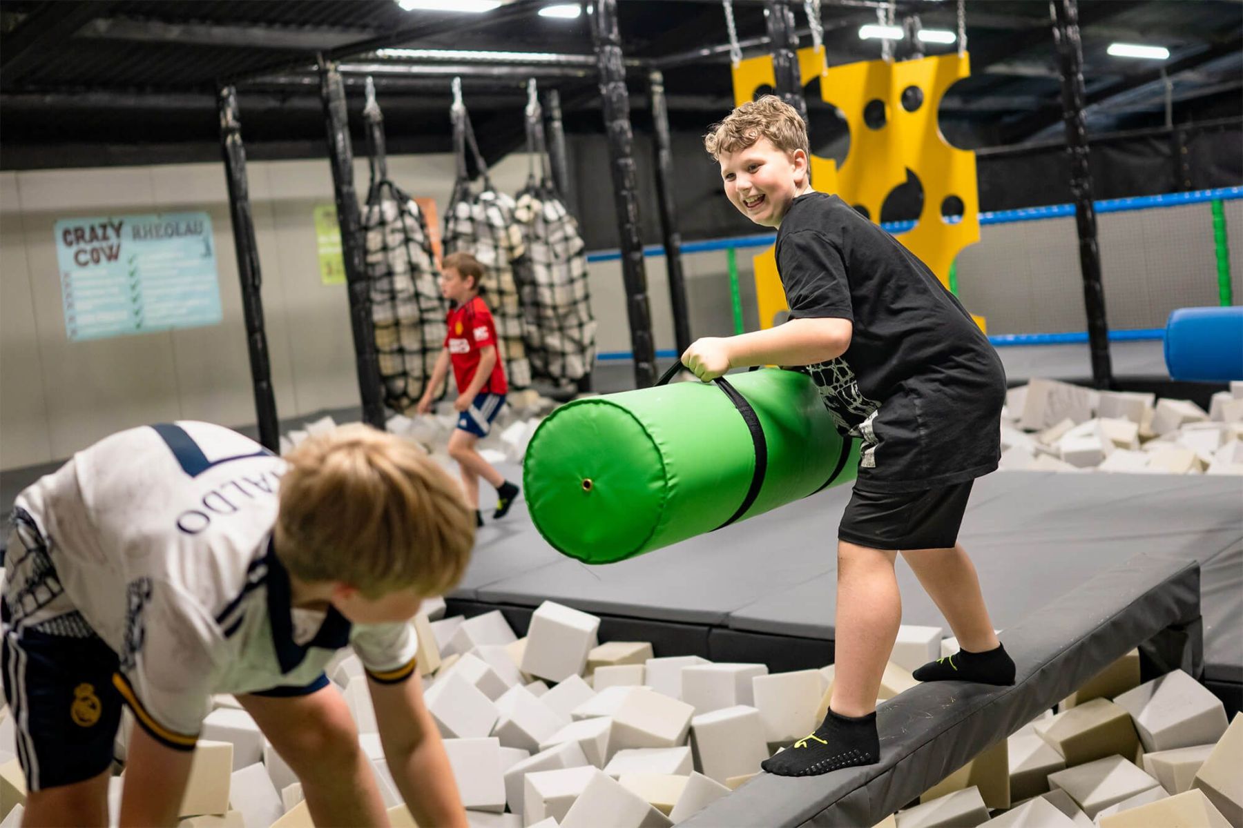 Moody Meadows | Crazy Cow