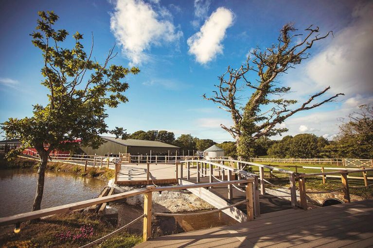 Moody Meadows | Wedding Venue in Ceredigion